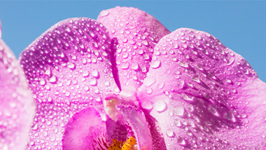 Monthly Casino Promotions | Plainridge Park Casino